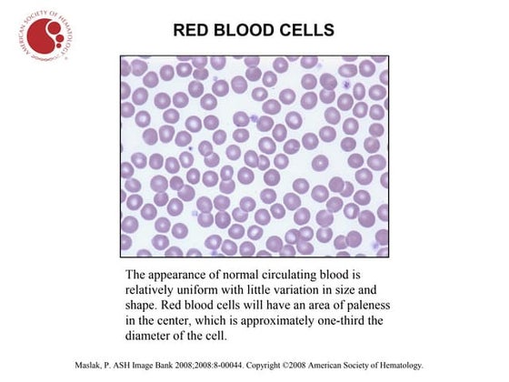 Families around the_world | PPT