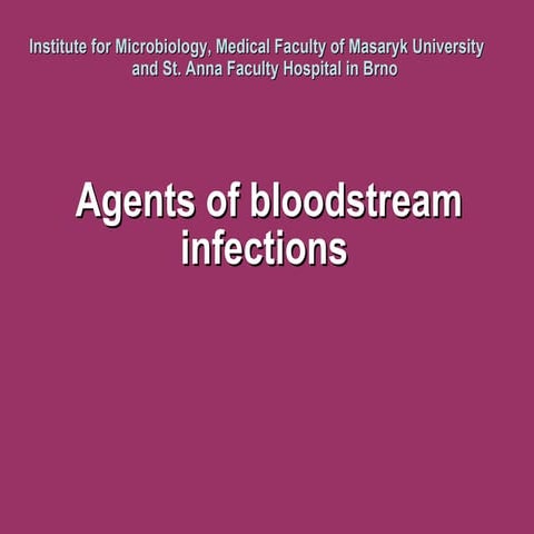 Bloodstream | PPT