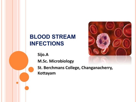 Blood stream infections | PPT | Infectious Diseases | Diseases and ...
