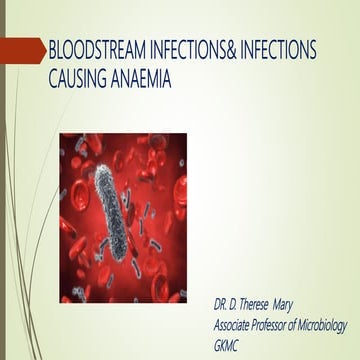 Bloodstream infections& infections causing anaemia | PPTX