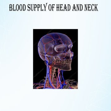 Arteries of Head and Neck | PPTX