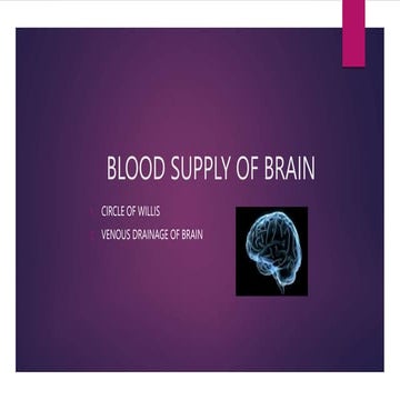 BLOOD SUPPLY OF BRAIN.pptx