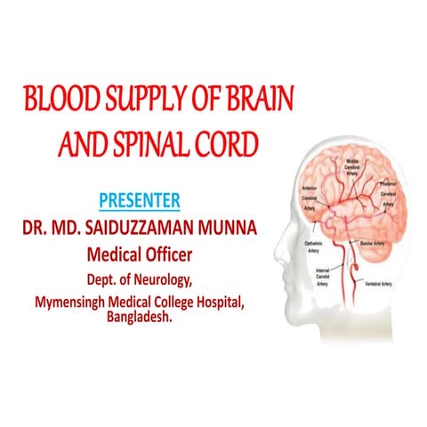 BLOOD SUPPLY of brain and spinal cord.pptx