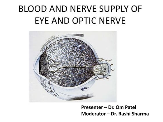 diagram of eye | PDF