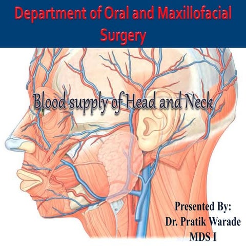 Blood supply of head and neck | PPTX