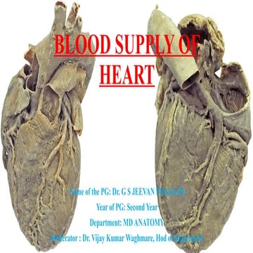 BLOOD SUPPLY OF HEART in humans explained .pptx