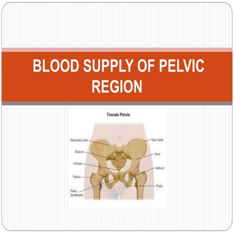 BLOOD SUPPLY OF PELVIC REGION.pptx