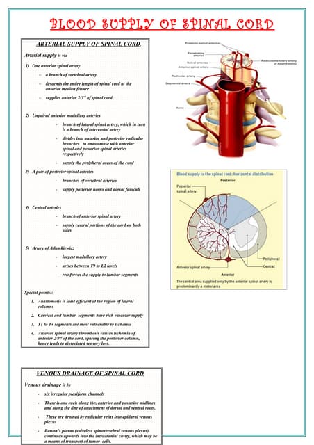 Cerebrospinal fluid (CSF) and interpreting lumbar puncture | PPTX