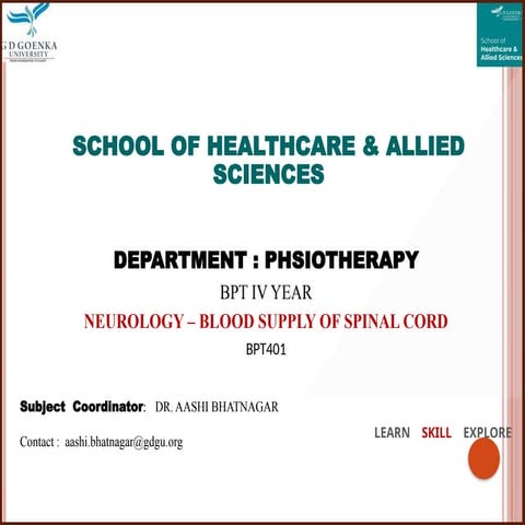 BLOOD SUPPLY OF SPINAL CORD | PPT