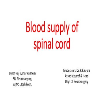 Blood supply of spinal cord | PPTX
