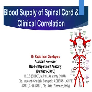 BLOOD SUPPLY OF SPINAL CORD | PPT
