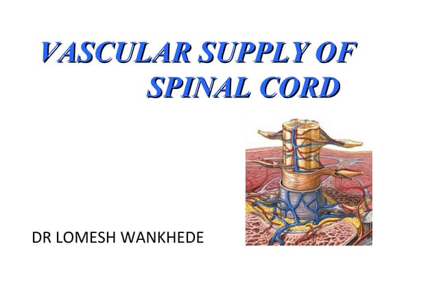 Anatomy of sellar suprasellar region | PPTX