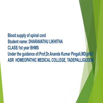 BLOOD SUPPLY OF SPINAL CORD | PPT