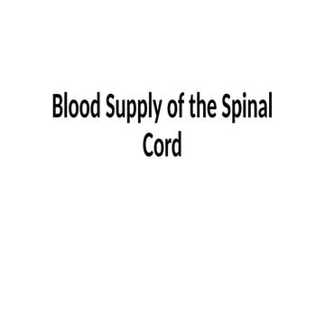 Blood Supply of Spinal Cord and its importance.pptx