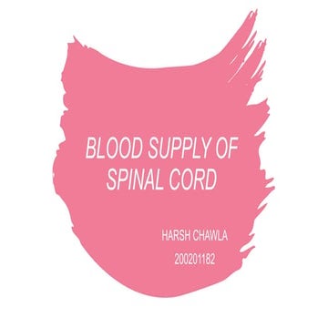 BLOOD SUPPLY SPINAL CORD anatomy mbbs medicine.pptx