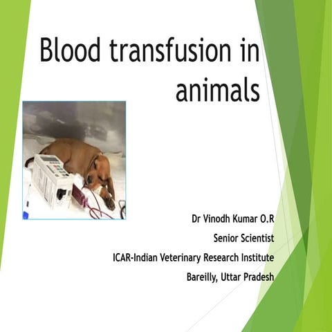 Blood transfusion in animals | PPTX