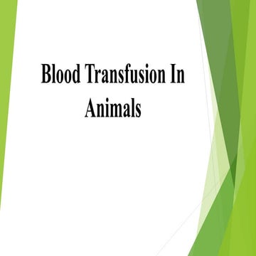 Blood tansfusion in animals | PPTX