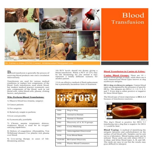 Blood Transfusion in Animals | PDF