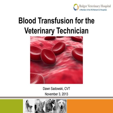 Blood Transfusion for the Veterinary Technician | PPT