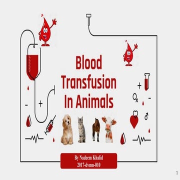 Blood Transfusion in Animals.pdf