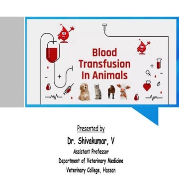 Blood transfusion in animals (veterinary).pptx