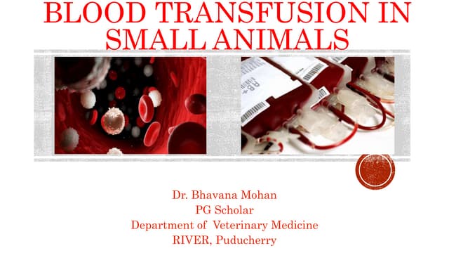 Blood transfusion in animals | PPTX