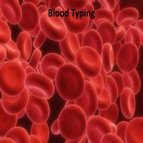 Blood Type | PPTX