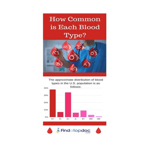 Blood types infographic | PDF