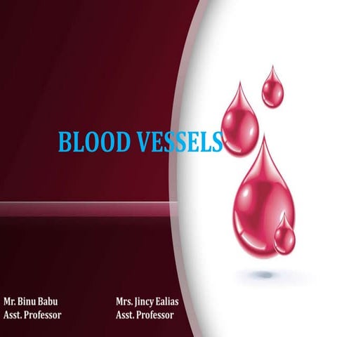 ANATOMY OF BLOOD VESSELS | PPT