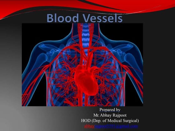 Blood vessels: Arteries, Veins and Capillaries | PPT