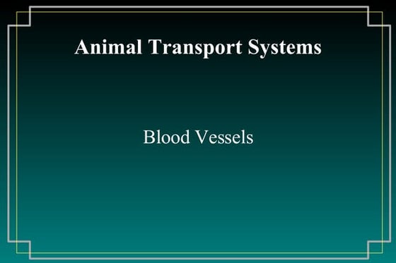 Practical 1 pig heart dissection | PPT