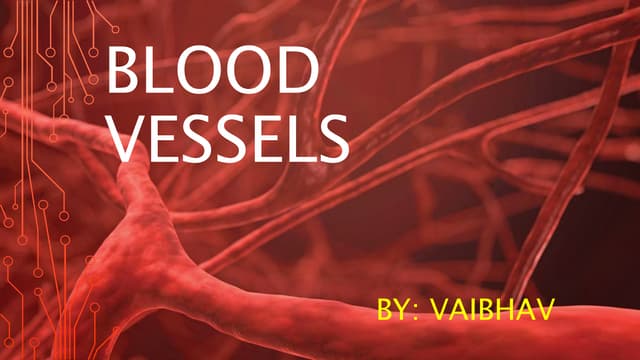 Blood vessels: Arteries, Veins and Capillaries | PPTX