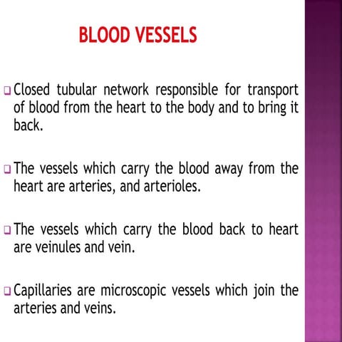 Blood vessels | PPTX