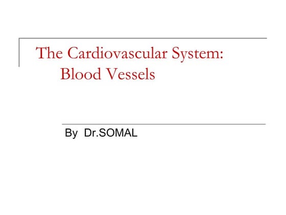 ANATOMY OF BLOOD VESSELS | PPT | Heart and Cardiovascular Diseases ...