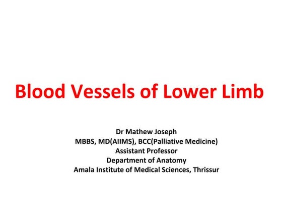 21-Vascular anatomy of the lower limb.pptx