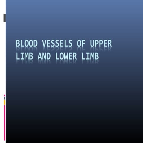 Presentation1.pptx, radiological vascular anatomy of the upper and ...