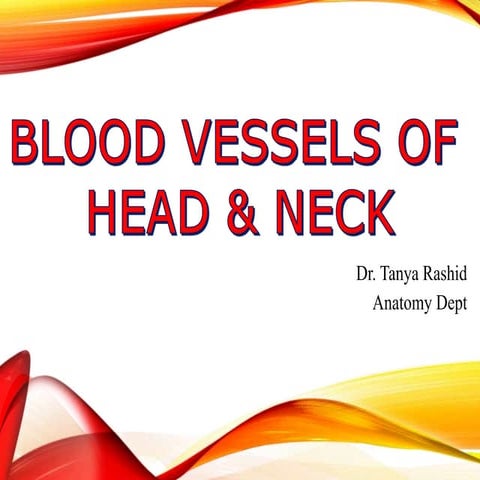scalp anatomy -layers and applied aspects | PPTX