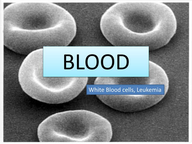 Hematology Granulopoiesis White blood cell production | PDF
