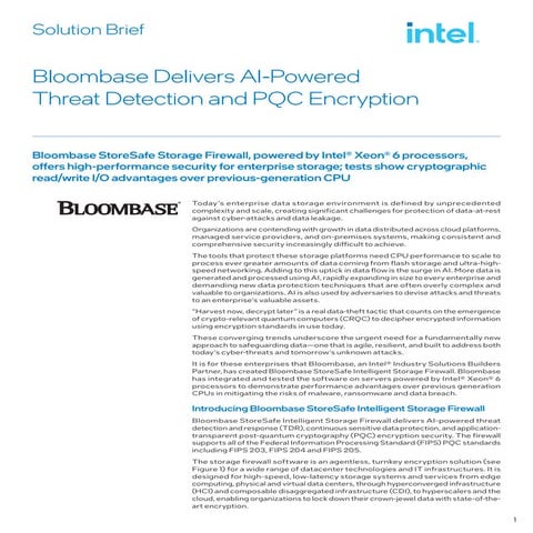 Bloombase StoreSafe Solution Brief - Bloombase Delivers AI-Powered ...