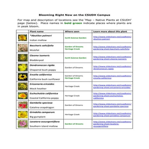 Bloom calendar csudh 1-14 pix | PDF