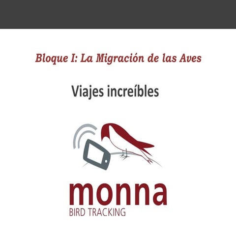 La MigracióN De Las Aves | DOC