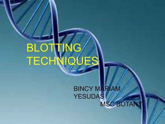 Principle and applications of blotting techniques | DOCX | Chemistry ...
