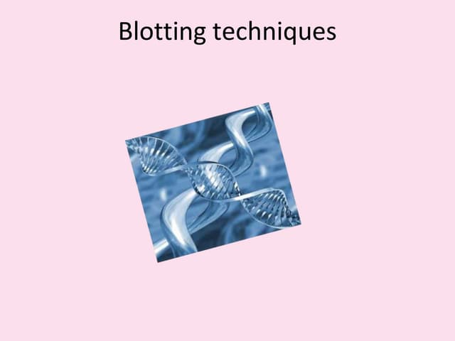 Blotting Techniques | PPTX