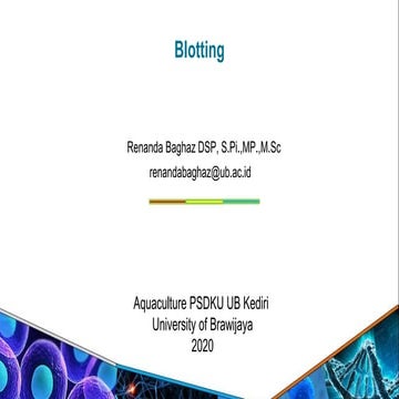 Peinsip Bioteknologi Akuatik Teknik Blotting.pptx