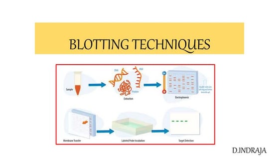 non ribosomal peptide synthesis (molecular biology) | PPTX | Chemistry ...