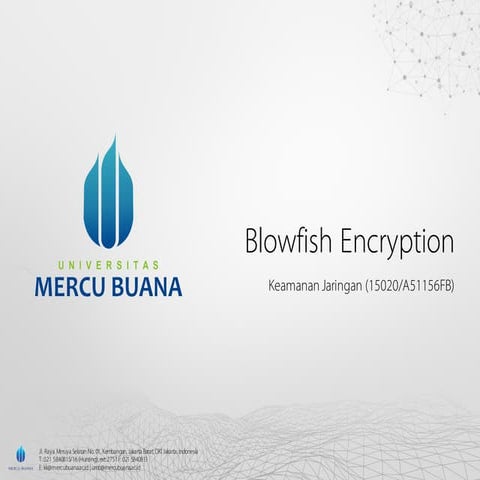 Blowfish Encryption Presentation | PDF