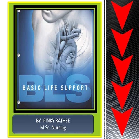 Bls Adult Basic Life Support 2025 Pptx