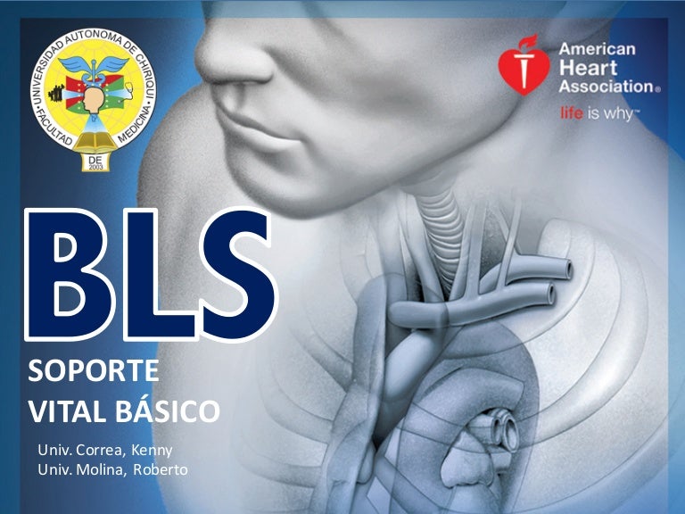 Aspectos destacados BLS 2015