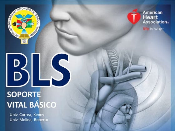 A4 Poster Our Areas | PDF