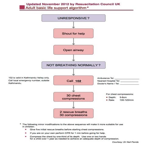 BLS Algorithm 2012 Nepal | PDF